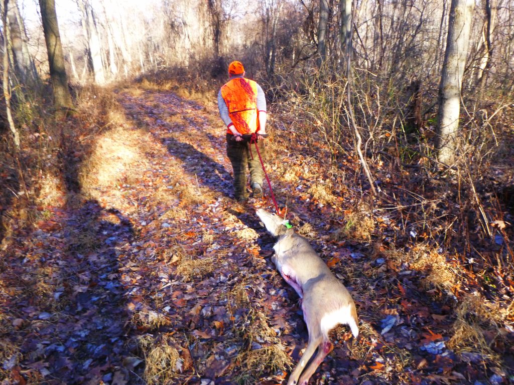 Debriefing deer season: Important details remain after the deer hunt ...